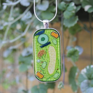 Plant Cell Pendant Necklace - Silver - Art Necklace, Biology Jewellery ...