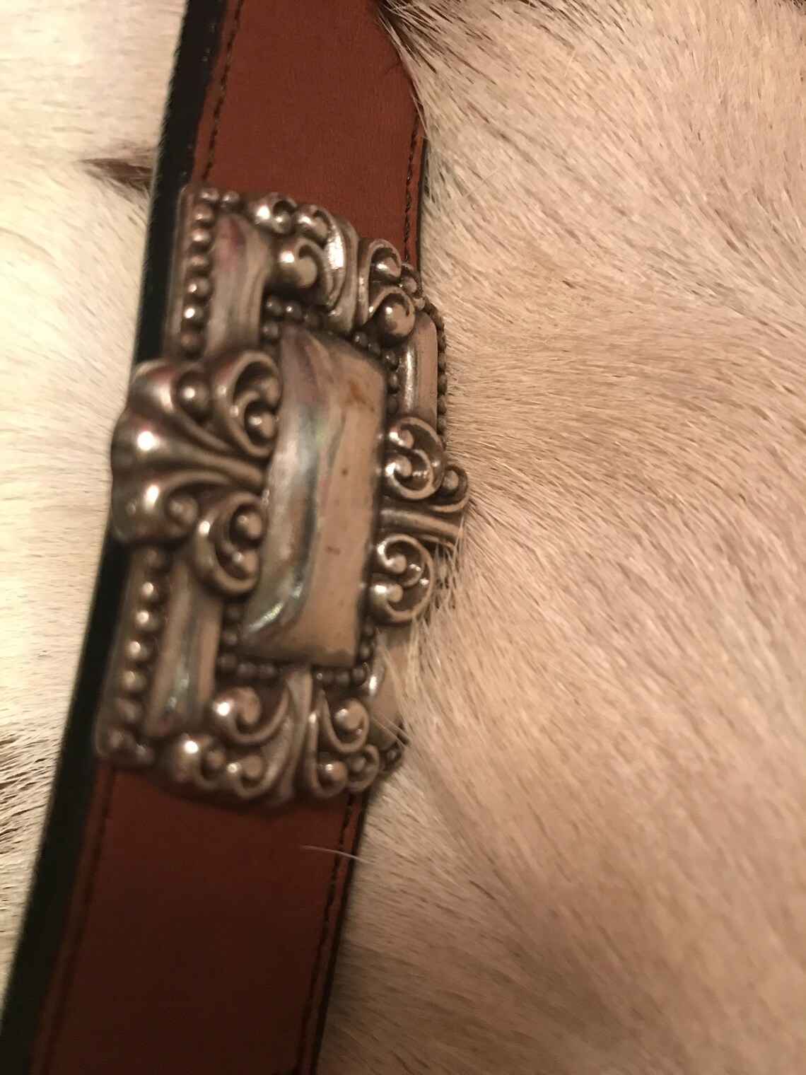 Dog Collar 1997 Wolf Wear Dog Collar - Etsy