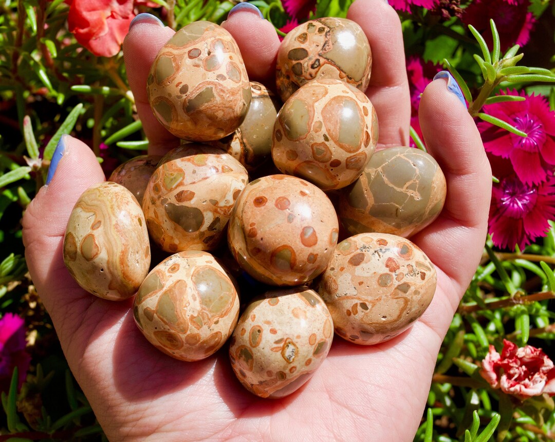 Leopardite Jasper Tumbled Stone | Large to Extra Large Size - Etsy