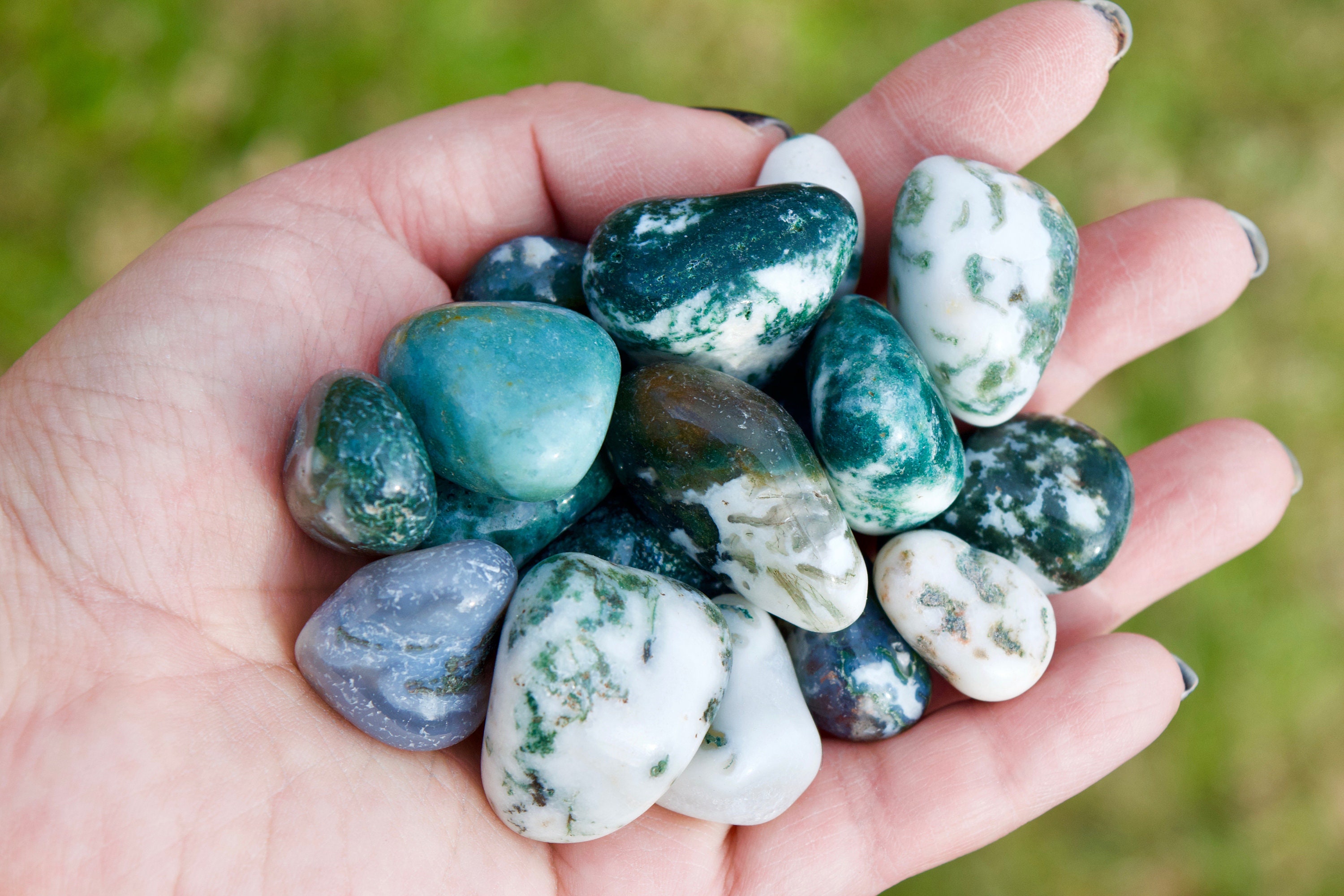 Tree Agate Tumbled Stones | Multiple Quantity Options Available - Etsy
