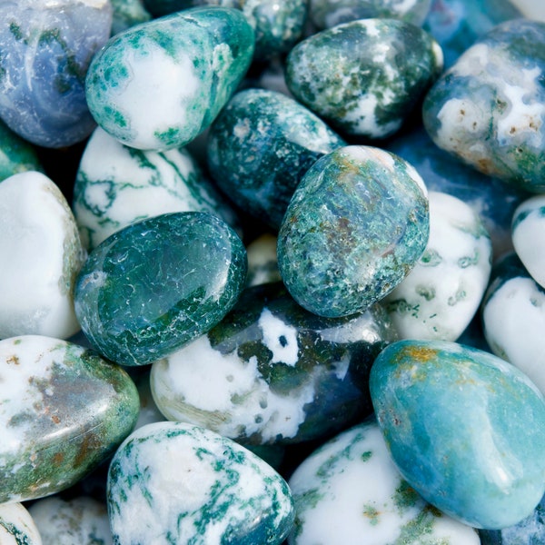 Tree Agate Quantity - Etsy