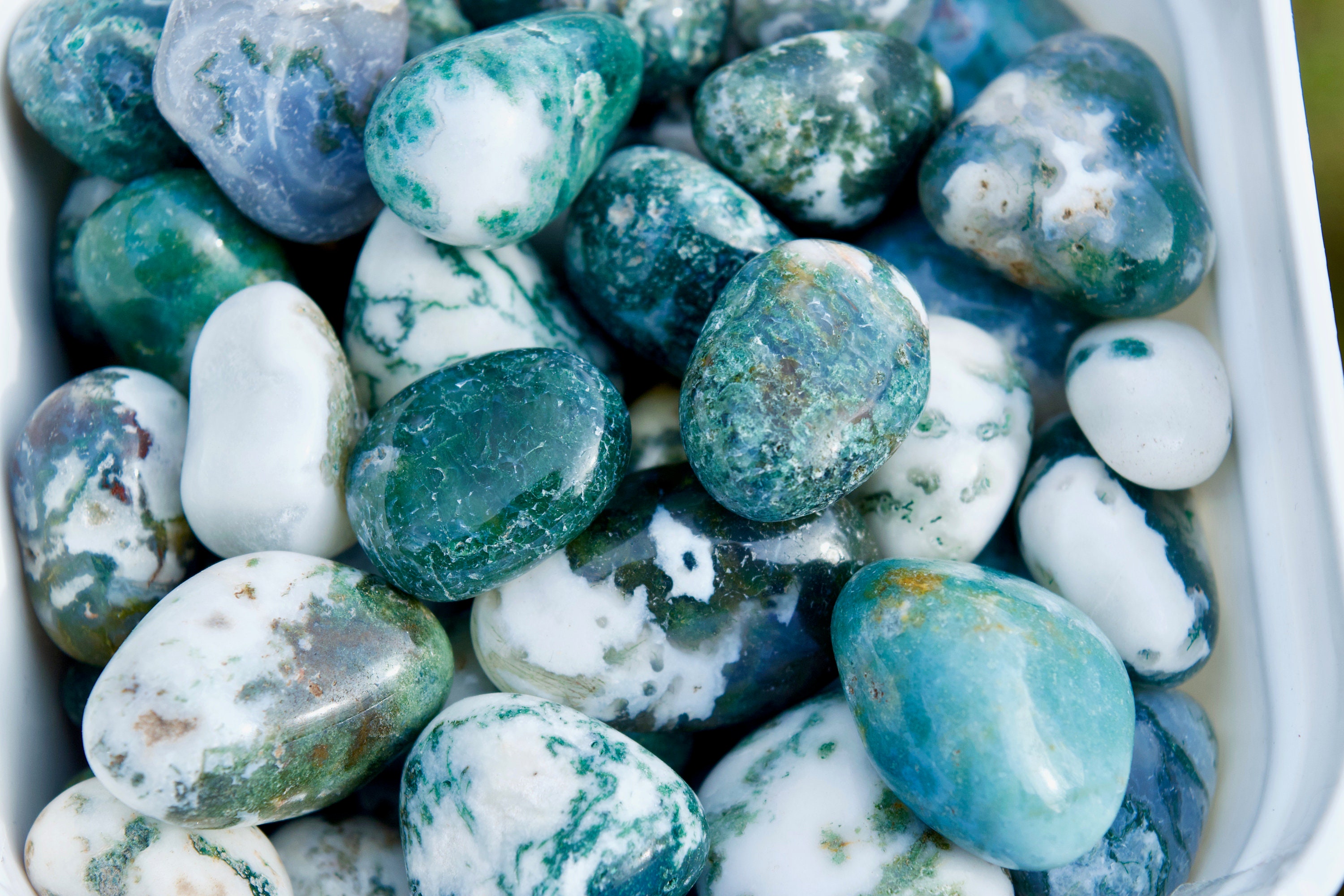 Tree Agate Tumbled Stones Multiple Quantity Options - Etsy