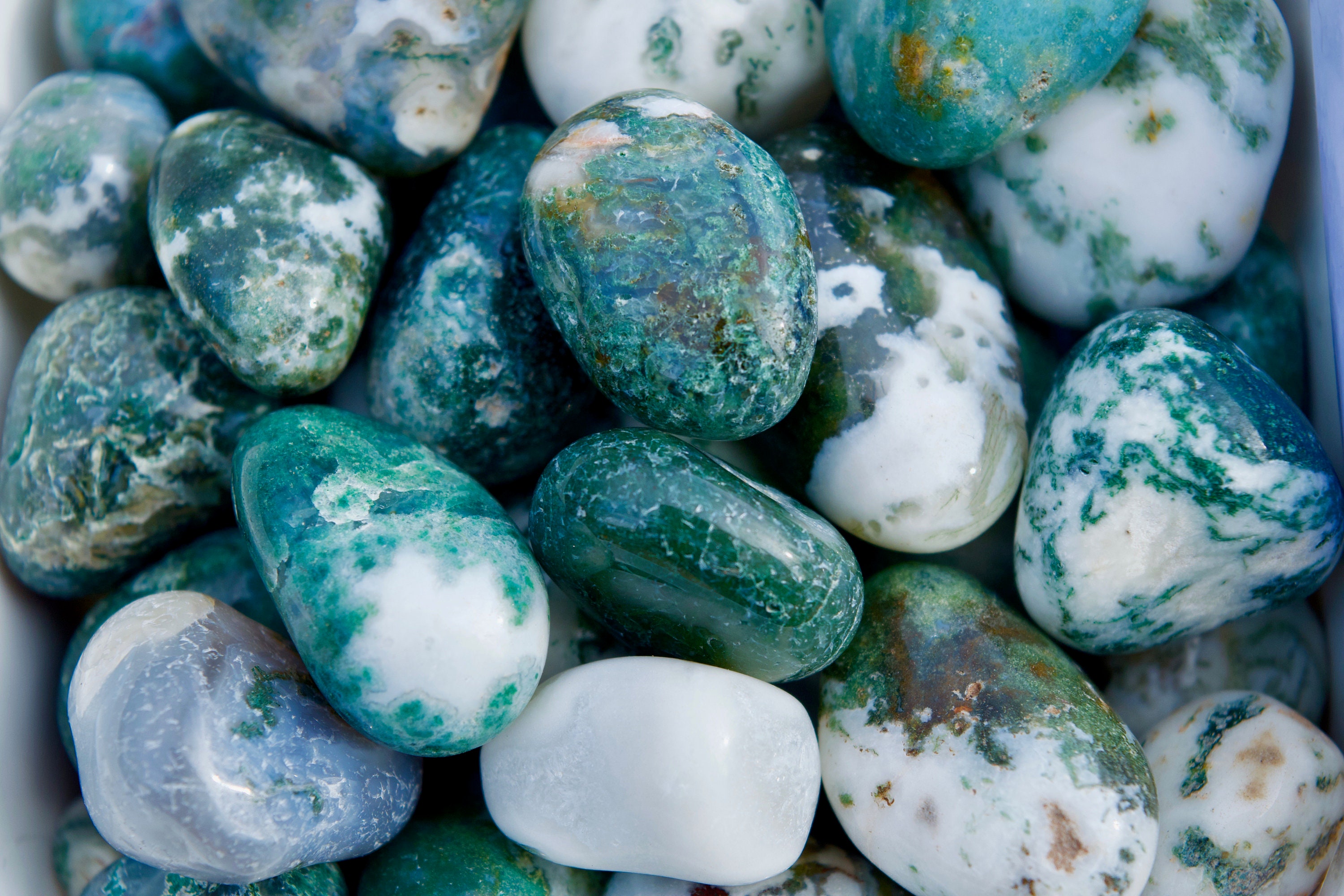 Tree Agate Tumbled Stones | Multiple Quantity Options Available - Etsy