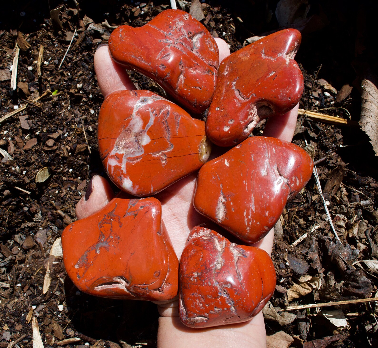 Red Jasper Freeforms From South Africa | Etsy