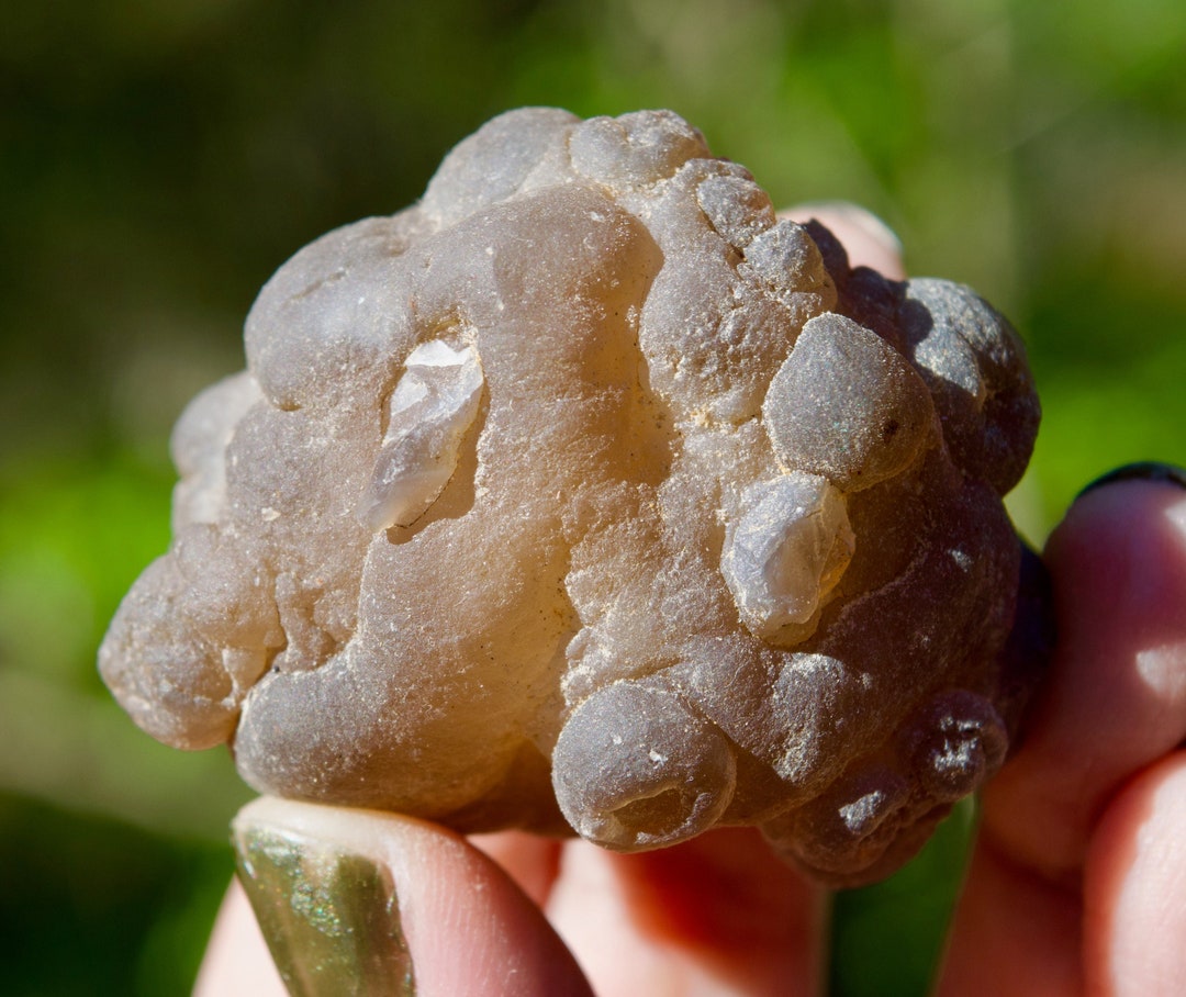 Botryoidal Chalcedony Nodule - Etsy