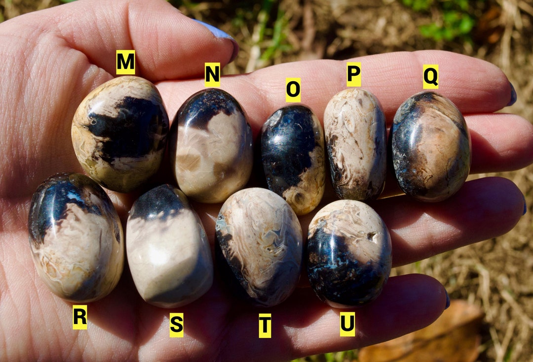 Palm Root Fossil Tumbled Stone - Etsy