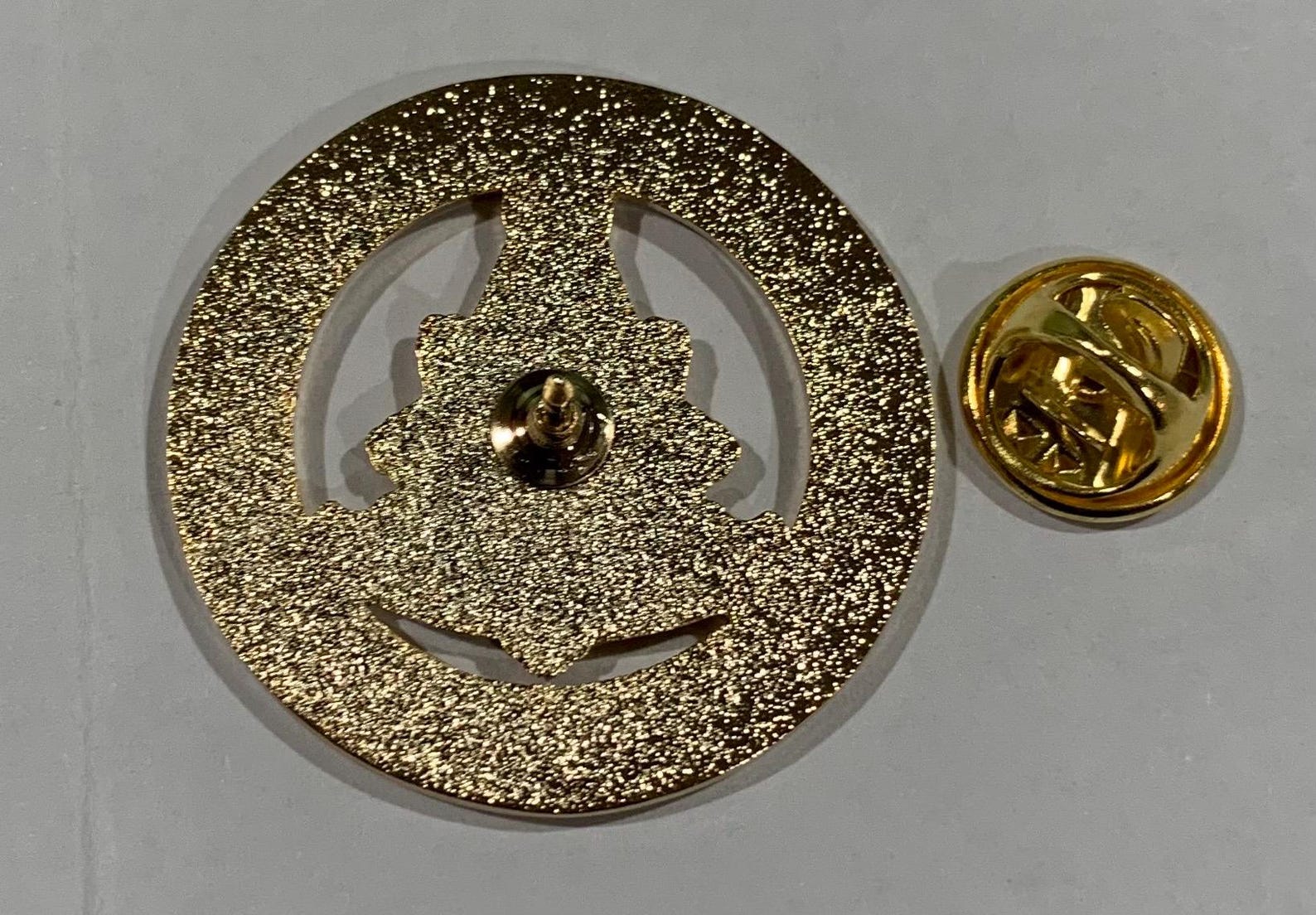 Masonic Past Master Large Lapel Pin 1.25 Inches for Blue Lodge Member ...