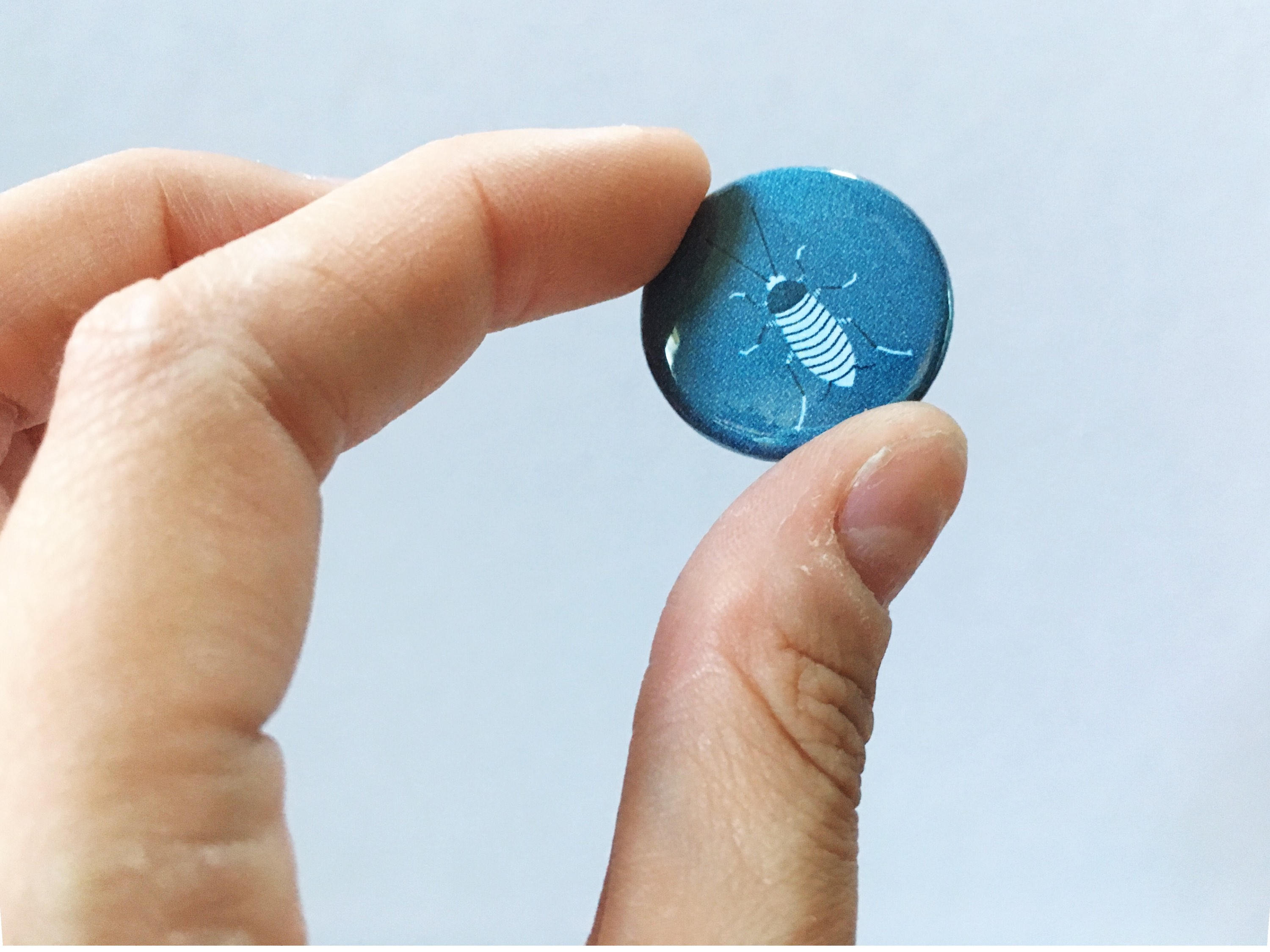 Killed a Cockroach Badge of Honor, Pinback Button Set of 6 - Etsy