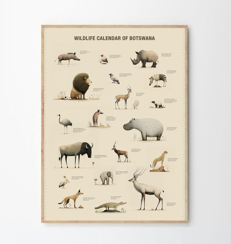 Wildlife Calendar of Botswana - Etsy
