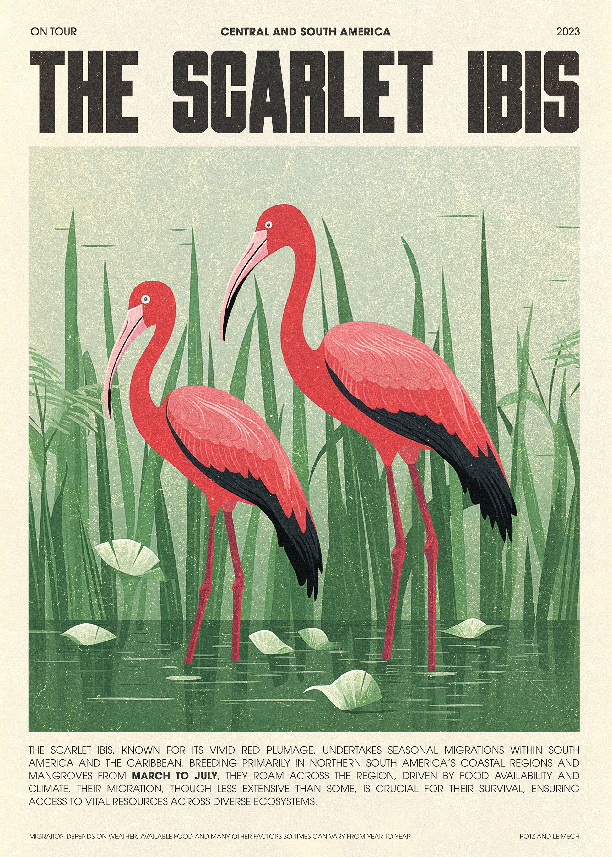 The scarlet ibis store