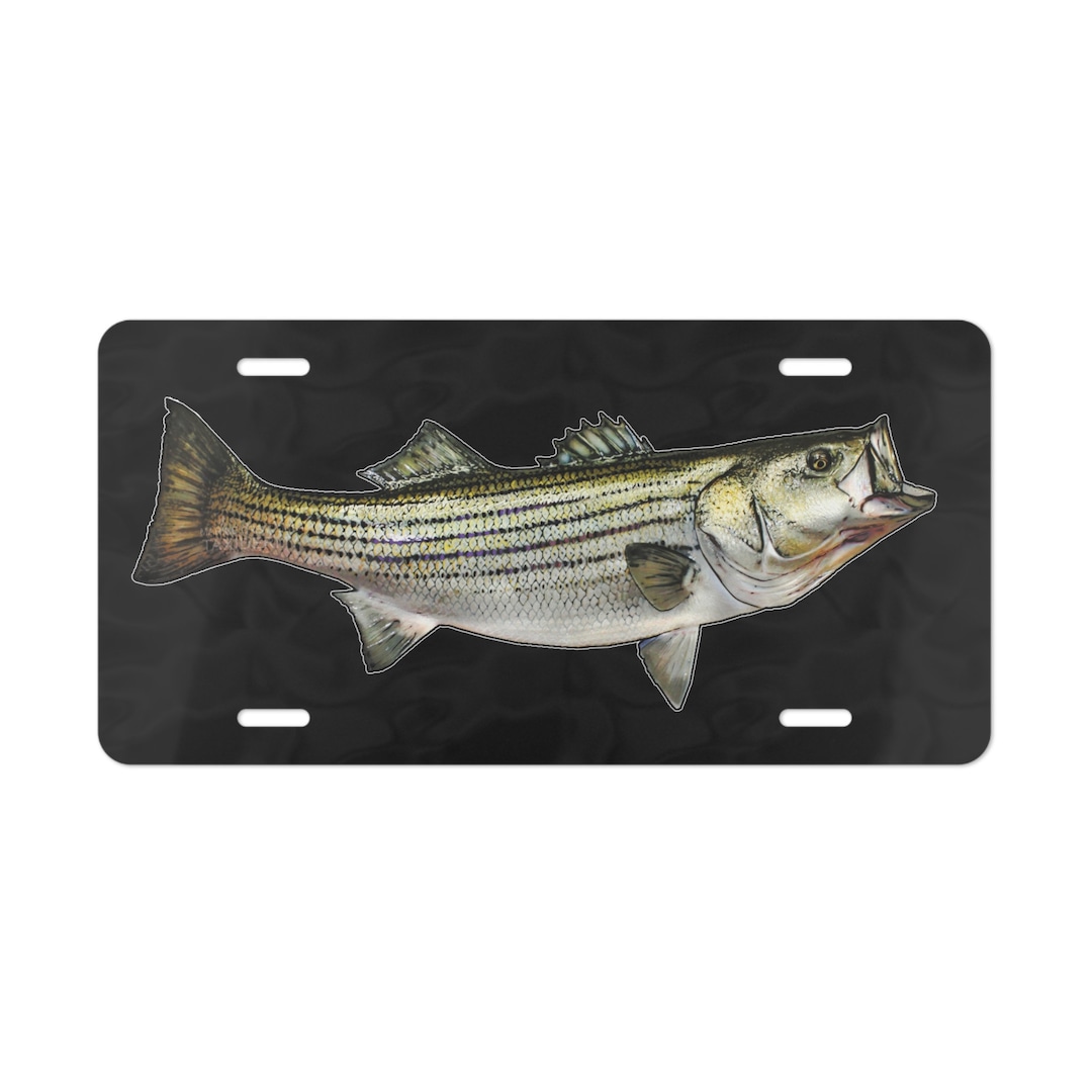 Striped Bass Front License Plate - Vanity Fishing Striper - Truck Car ...