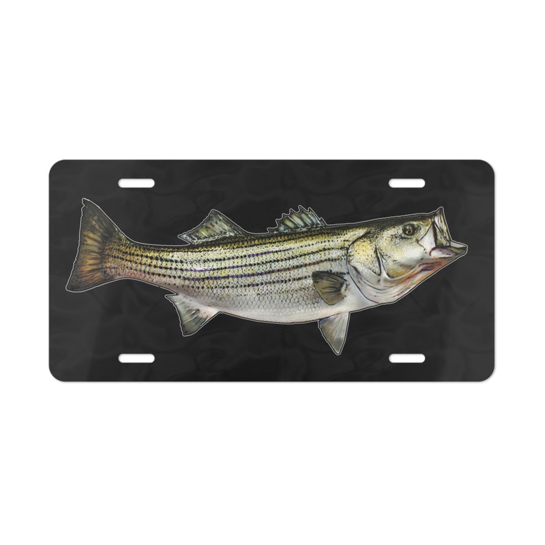 Striped Bass Front License Plate - Vanity Fishing Striper - Truck Car ...