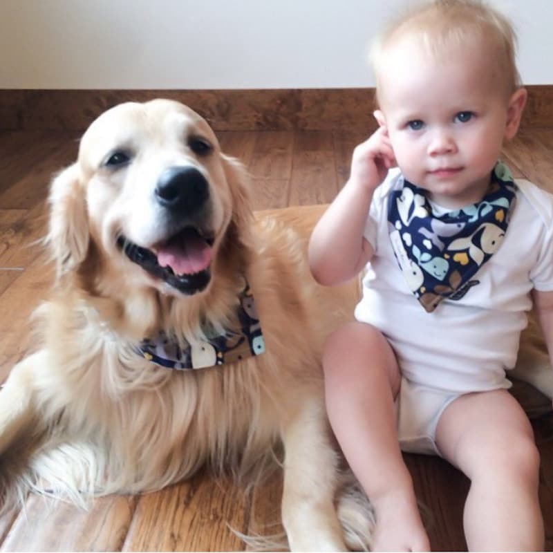 Matching Dog Baby - Etsy