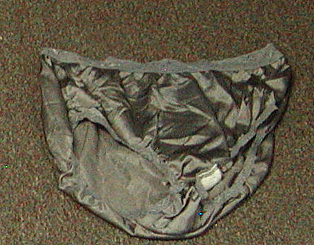 Vintage Fruit of the Loom Full Brief Nylon Panty With Lace - Etsy