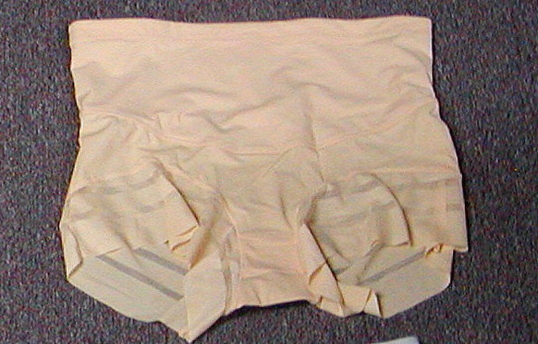 Vintage Firm Control Mesh Full Brief Panty Girdle With Stripes Light ...
