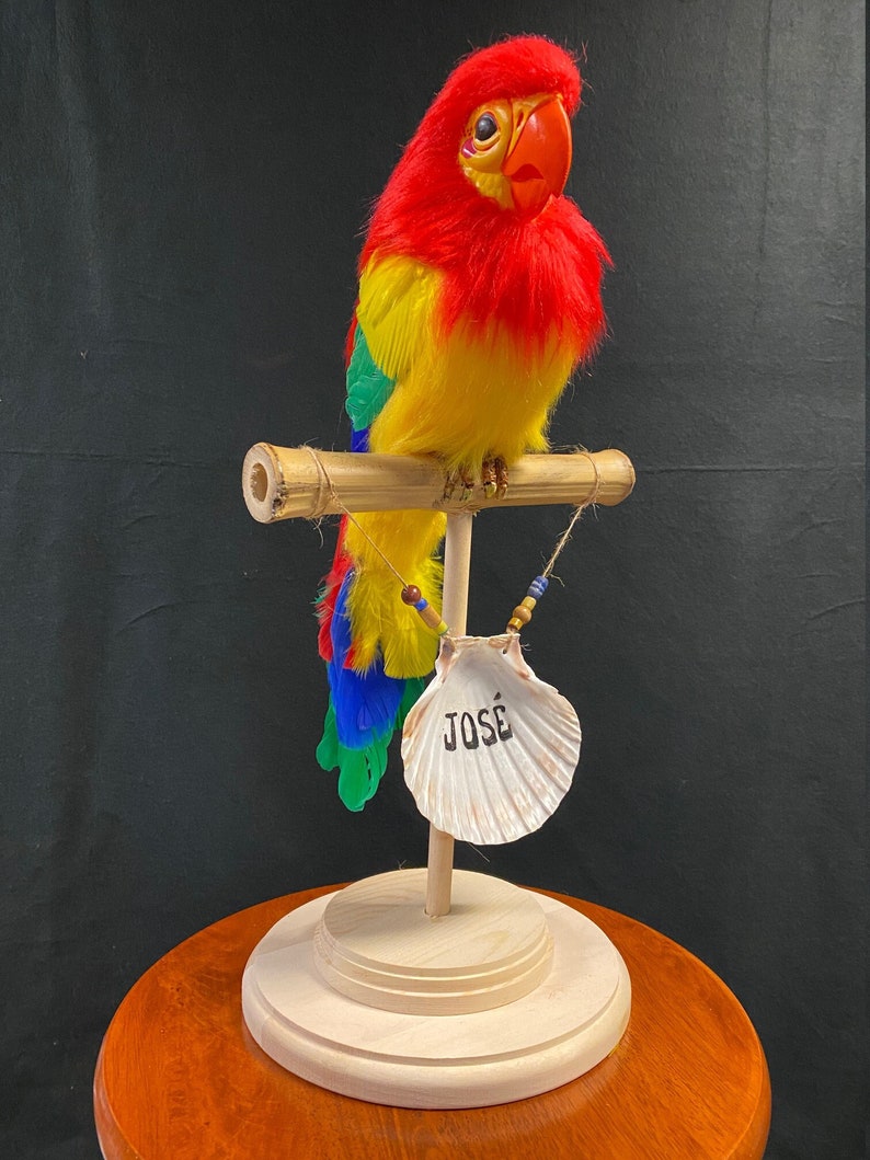 Parrot Inspired by Disney's Enchanted Tiki Room Jose - Etsy