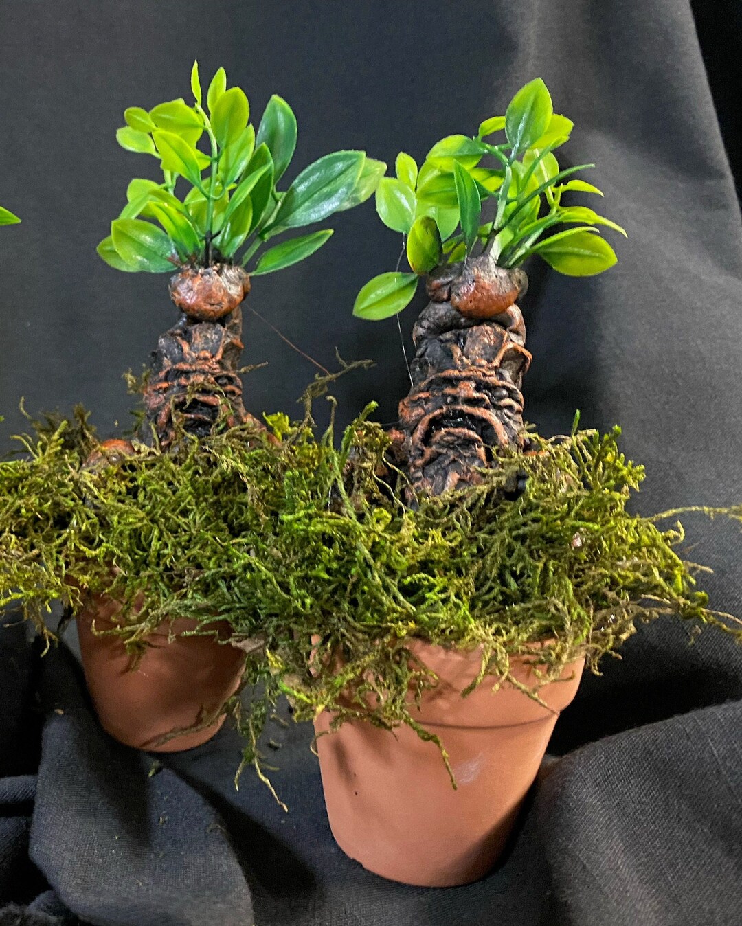 Mini Mandrake Custom Listing - Etsy