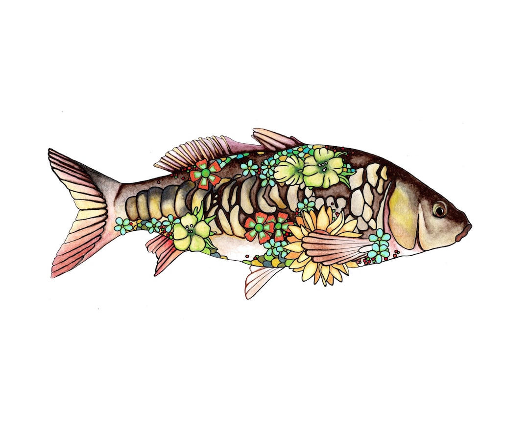 Fancy Carp Limited Edition Signed Fine Art Print - Etsy