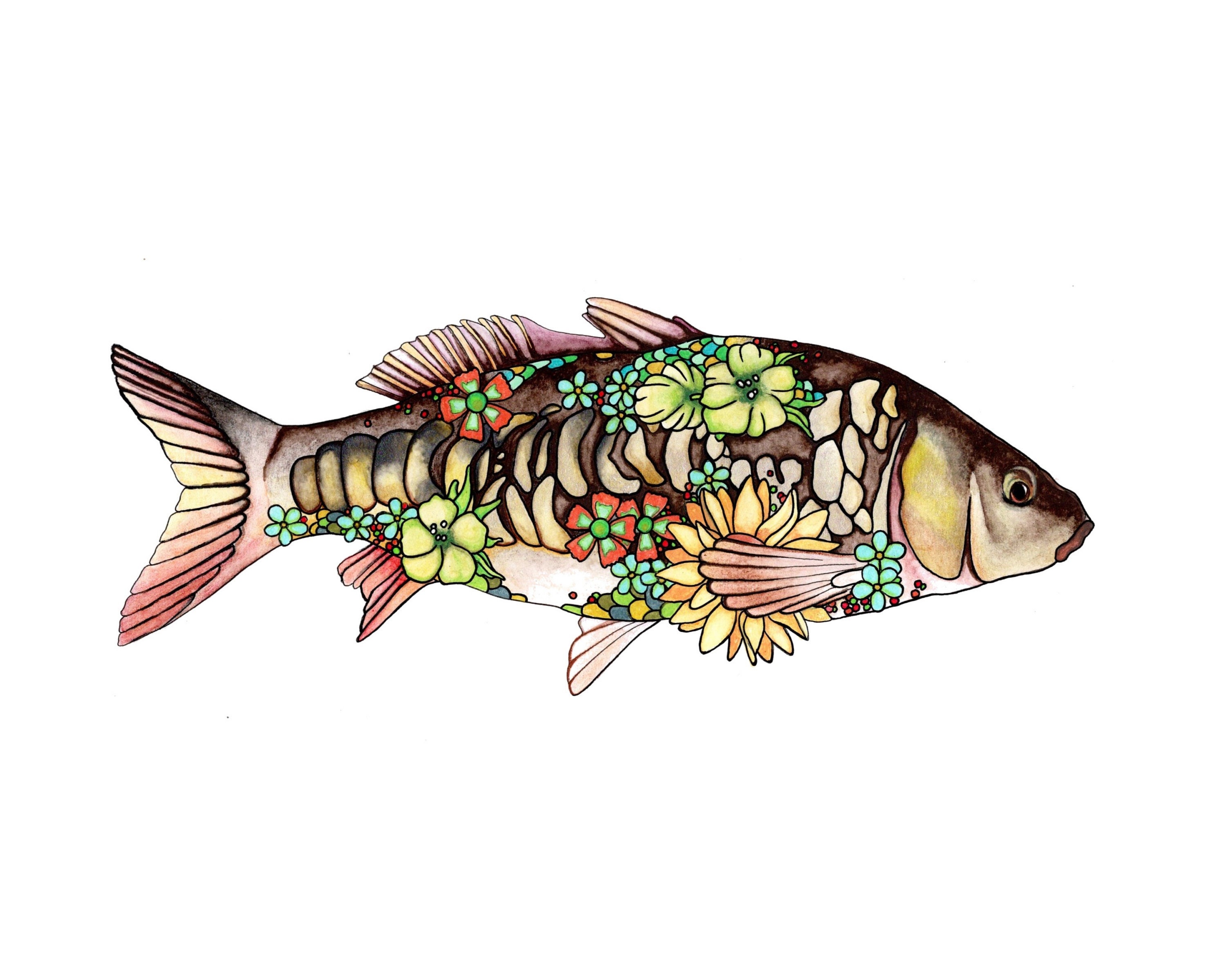 Fancy Carp Limited Edition Signed Fine Art Print - Etsy