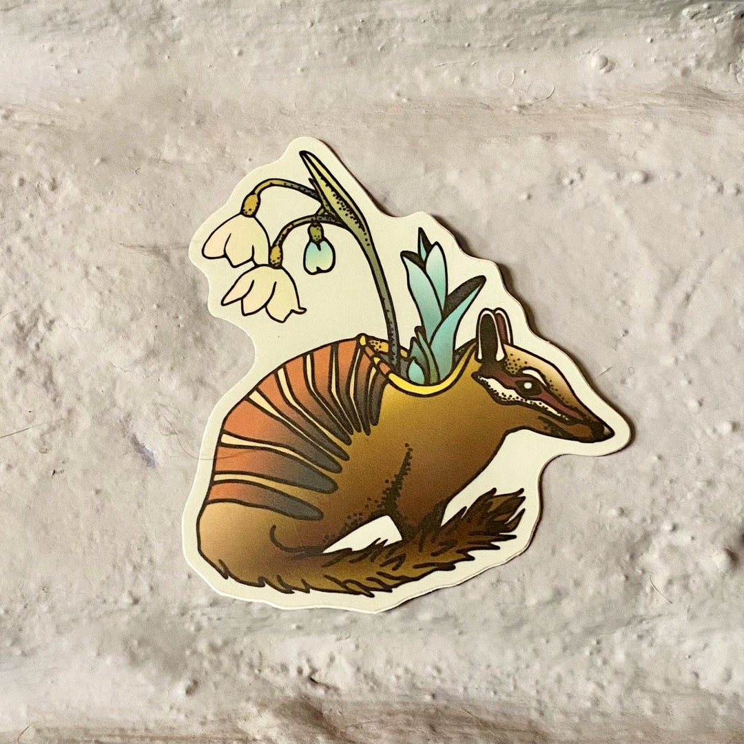 Numbat Vinyl Sticker - Etsy