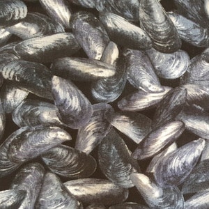 Mussels or Clams Fabric, 100% Quilt Shop Quality Cotton, Benartex Sold ...