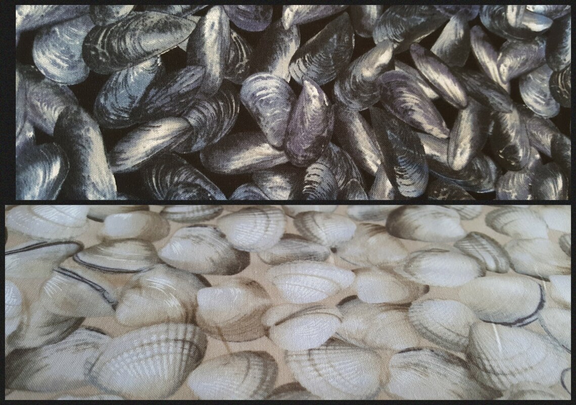 Mussels or Clams Fabric 100% Quilt Shop Quality Cotton - Etsy