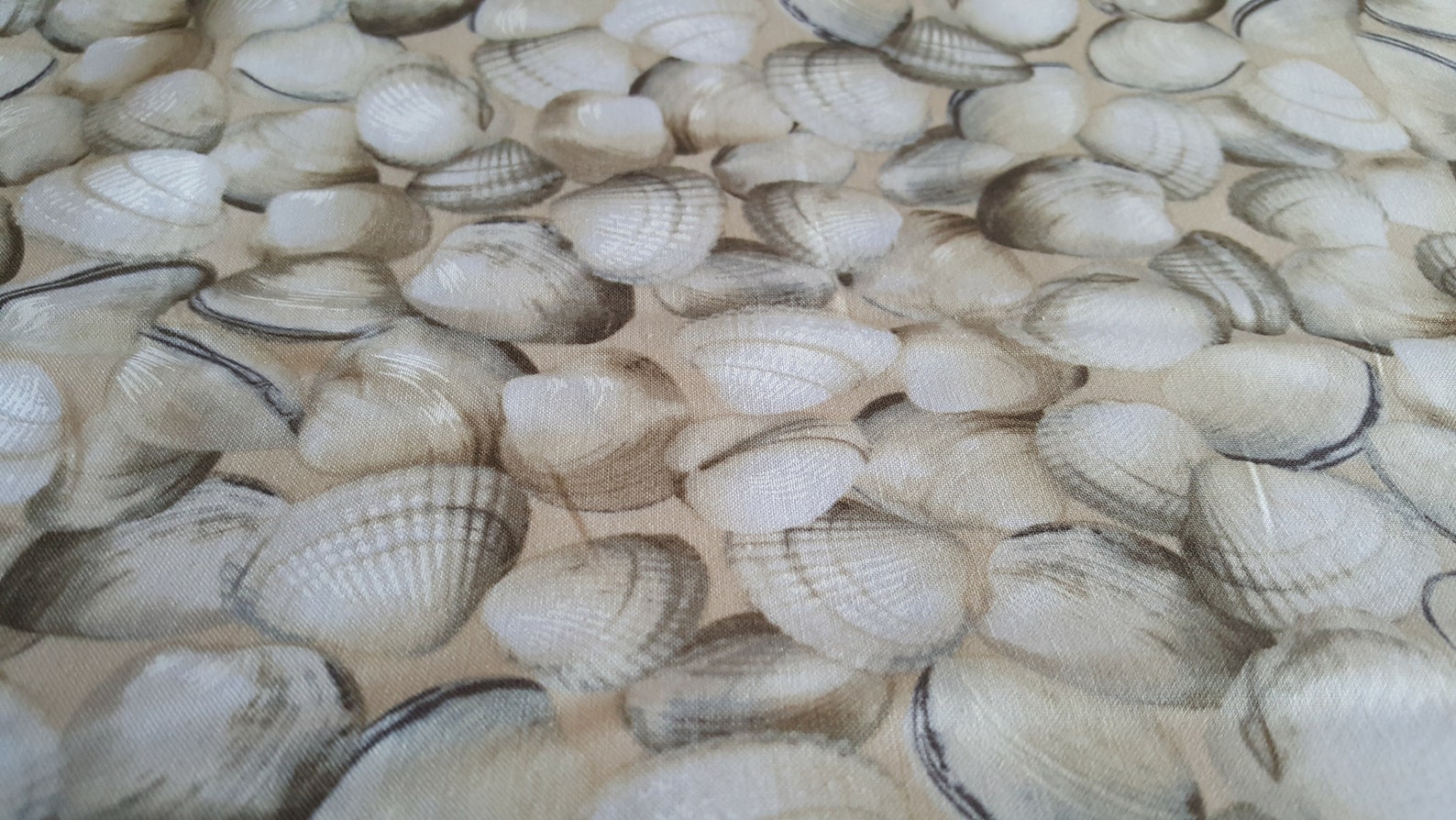 Mussels or Clams Fabric 100% Quilt Shop Quality Cotton - Etsy