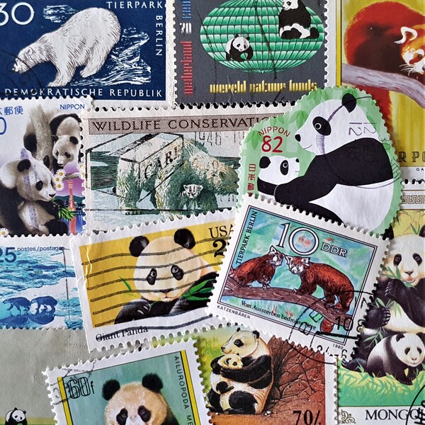 Panda Scrapbook - Etsy