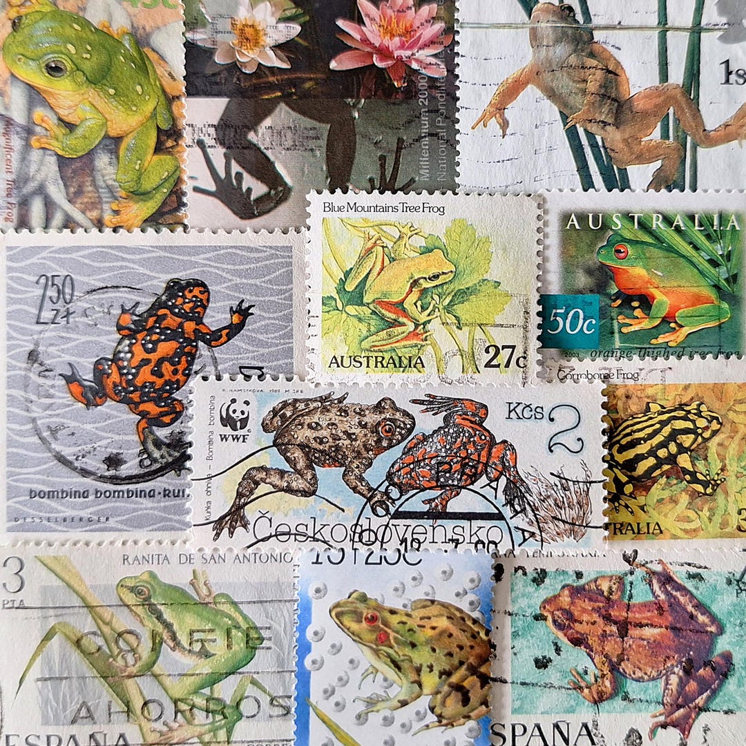 FREE SHIPPING ; 15 FROGS Worldwide Postage Stamps for Collecting ...