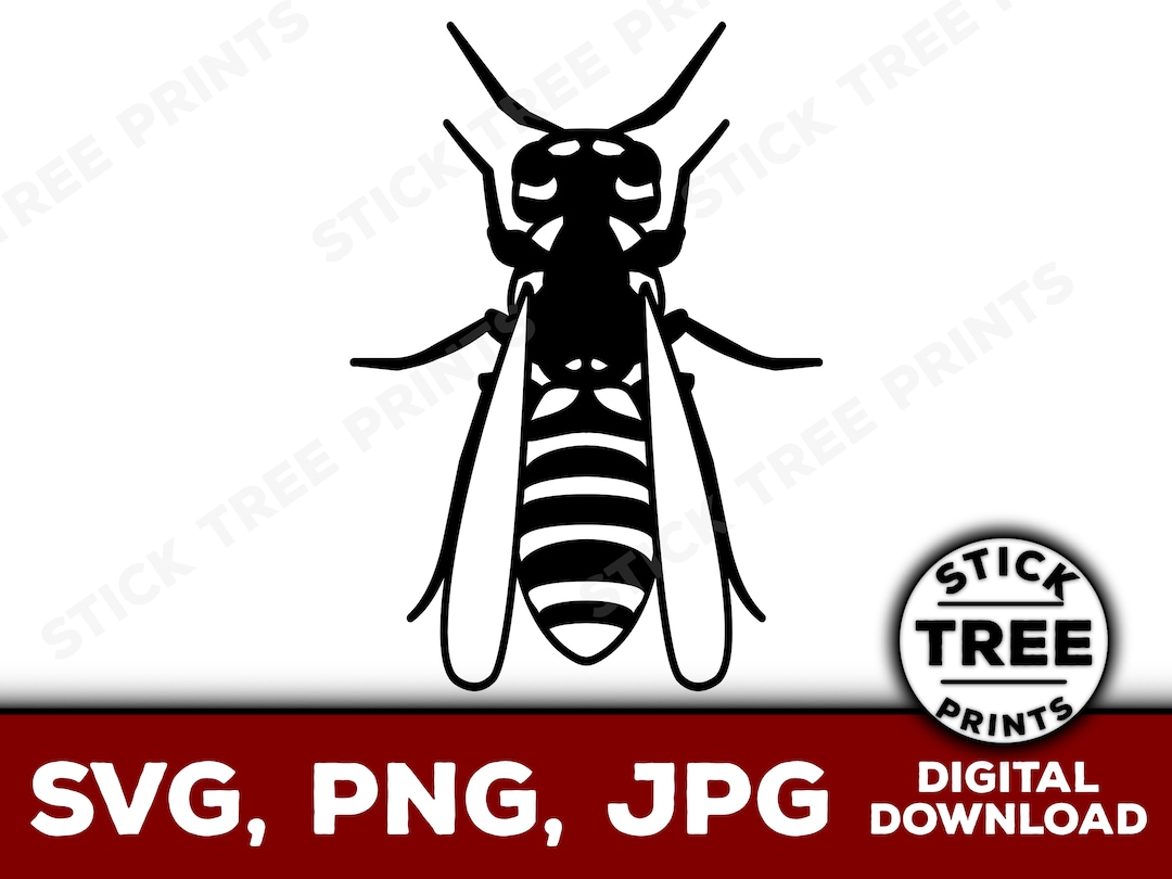 Wasp SVG - Wasp Png, Wasp Vector, Wasp Clip Art, Wasp Cut File, Bee Svg ...