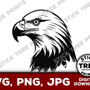 Bald Eagle SVG - Bald Eagle Png, Bald Eagle Clip Art, Eagle Cut File ...