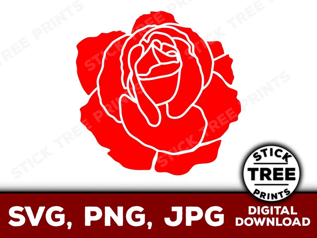 Rose SVG - Rose Vector, Rose Png, Rose Jpg, Rose Cut File, Rose Image ...