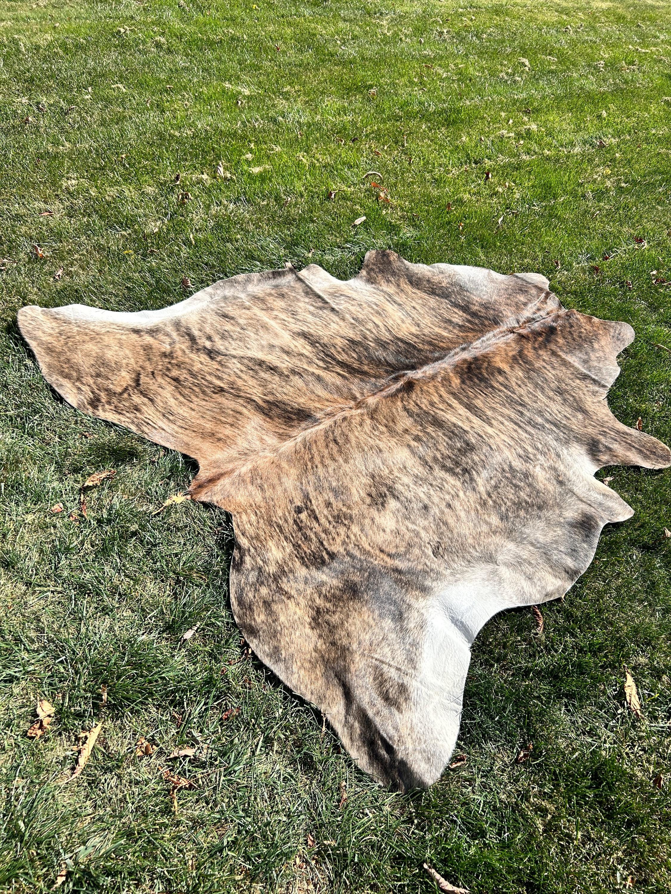 Genuine Brindle Brazilian Hair on Cowhide Rug, Cow Hide Rug - Etsy
