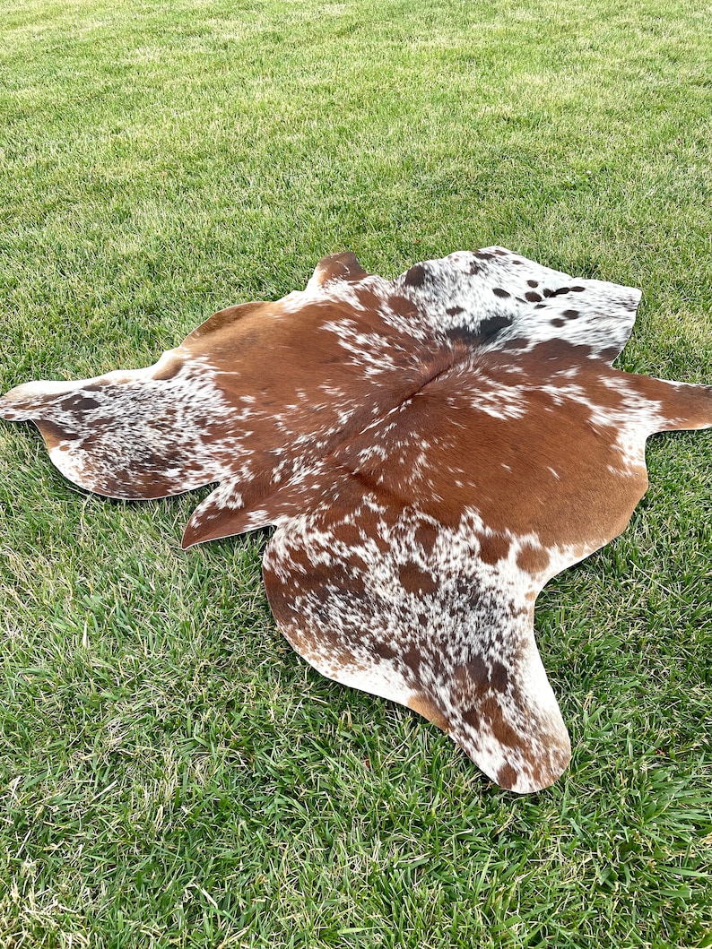Genuine Tricolor Brazilian Hair on Cowhide Rug, Speckled Cow Hide Rug ...