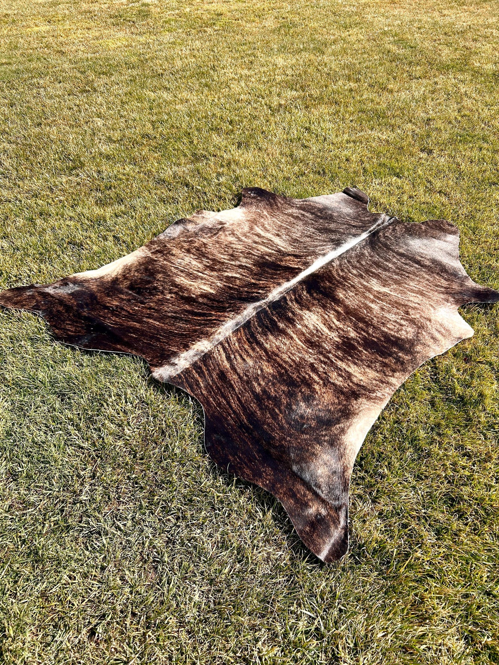 Genuine Brindle Brazilian Hair on Cowhide Rug, Cow Hide Rug - Etsy