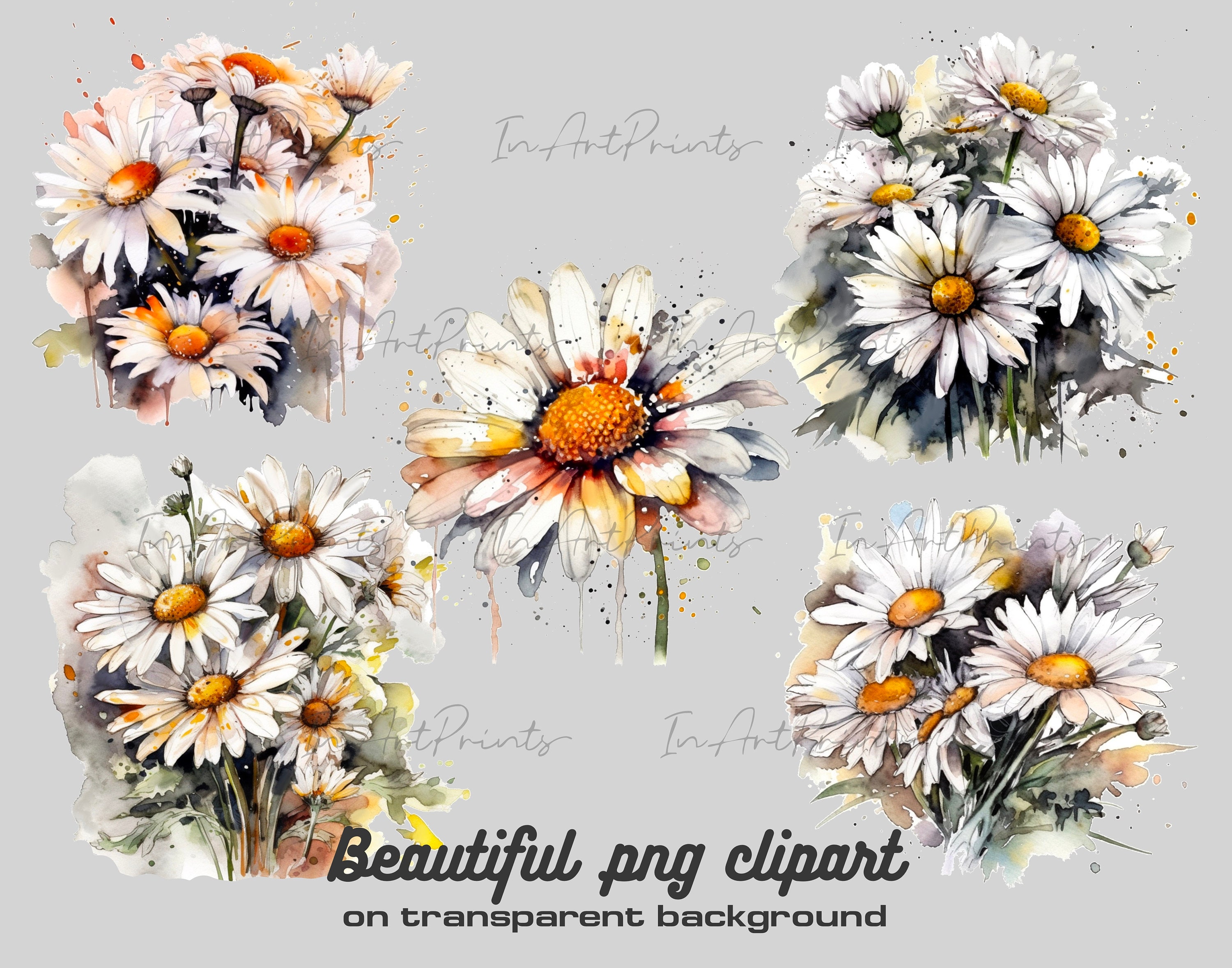 Watercolor Daisy Clipart, Wildflowers Floral Clipart, Wedding ...