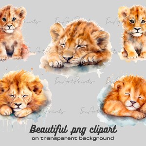 Watercolor Cute Lion Clipart, Nursery Lion Png, Lion Sublimation, Baby ...