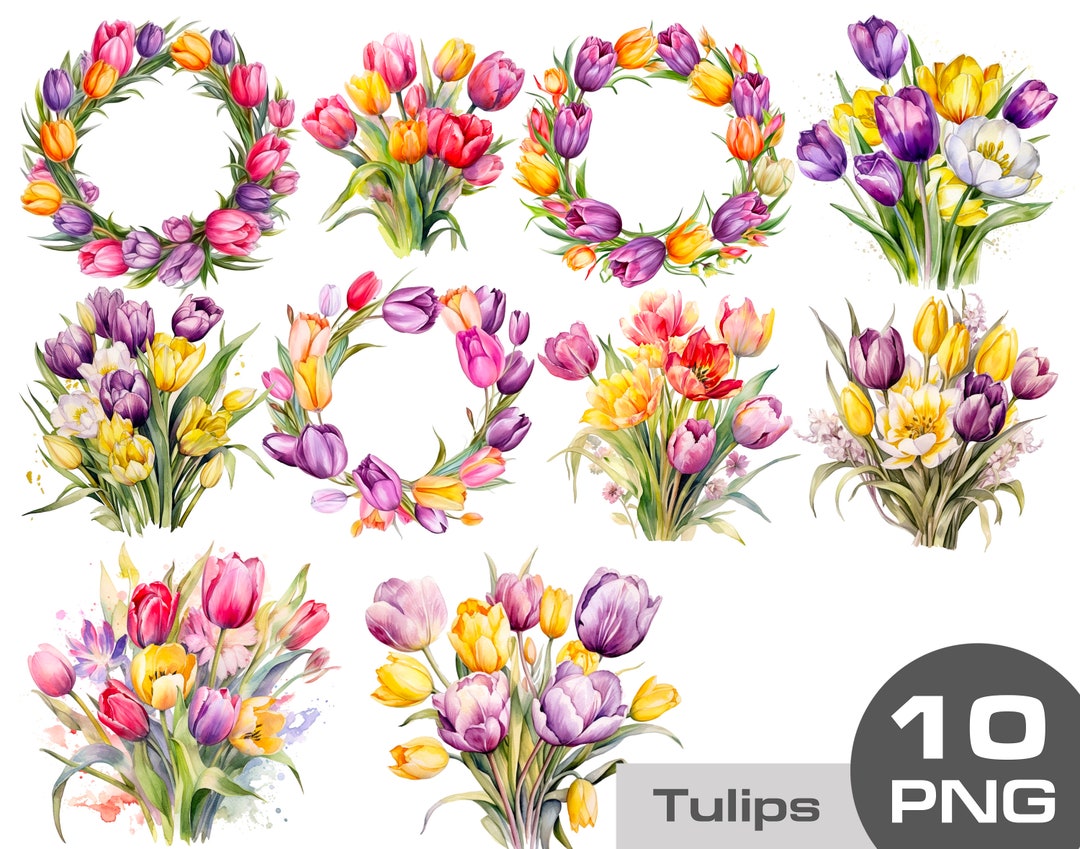 Watercolor Tulips Clipart Png, Tulips Bouquet Clipart, Spring Flowers ...