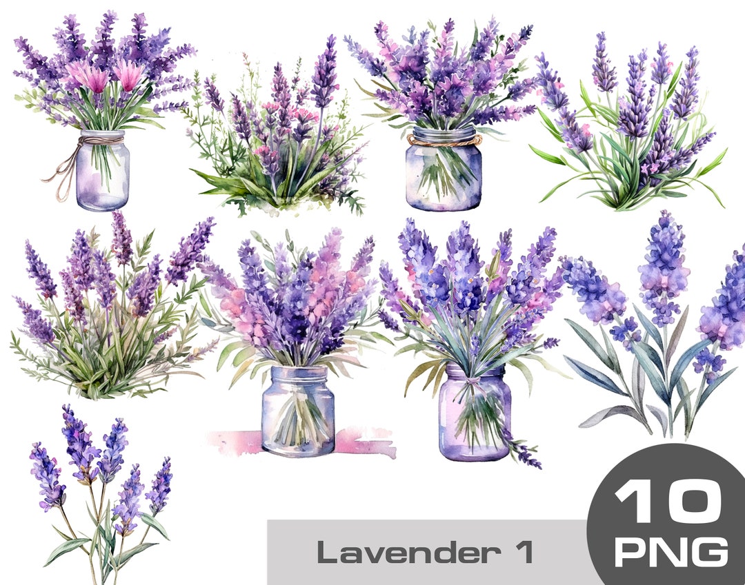 Watercolor Lavender Clipart, Watercolor Provence Lavender, Lavender ...