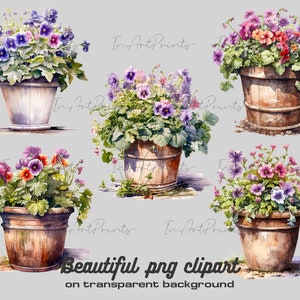 Watercolor Floral Pots Clipart Bundle, Garden Flowers Clipart, Flower ...