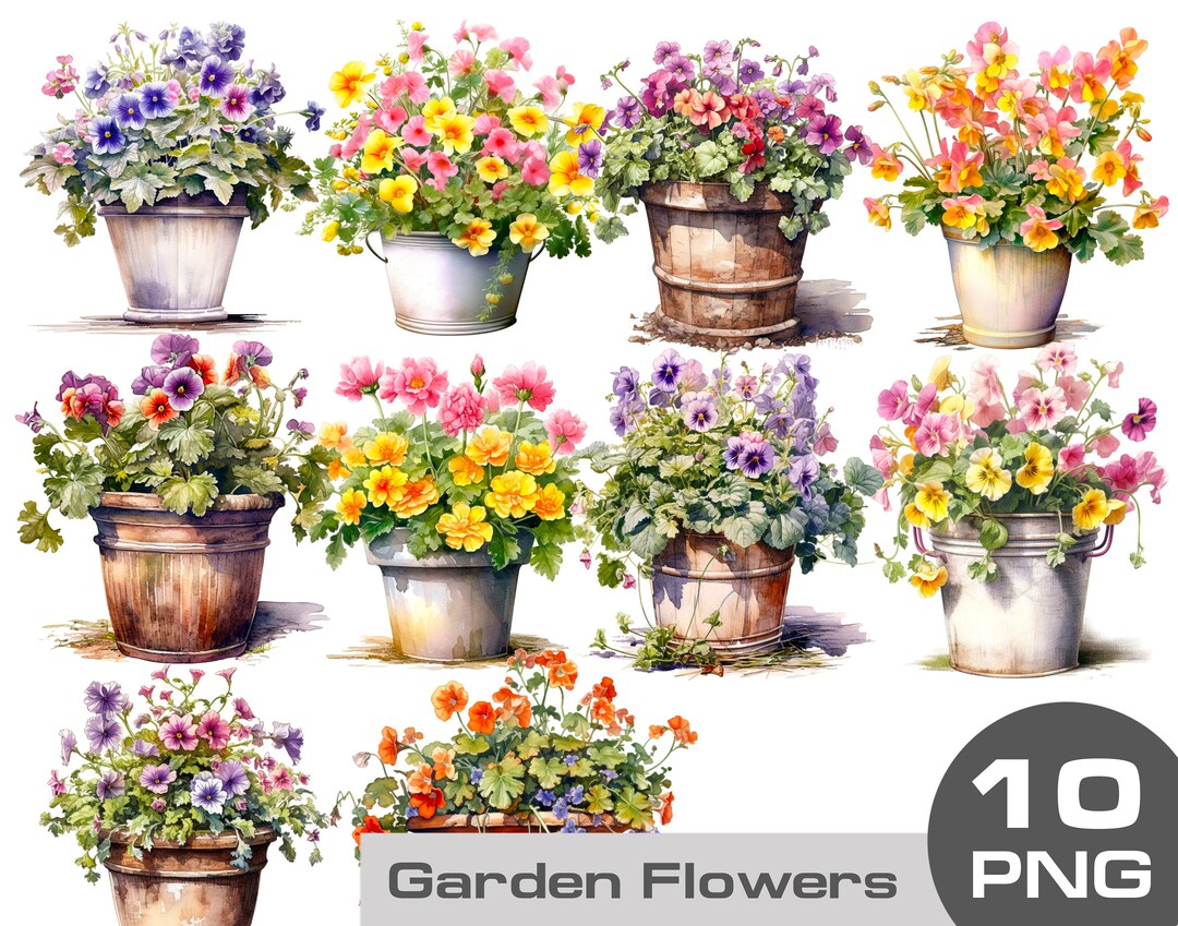 Watercolor Floral Pots Clipart Bundle, Garden Flowers Clipart, Flower ...