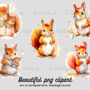 Watercolor Squirrel Clipart, Squirrel Png, Watercolor Forest Animal ...