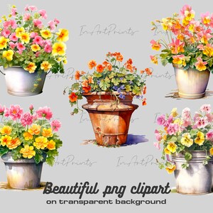 Watercolor Floral Pots Clipart Bundle, Garden Flowers Clipart, Flower ...