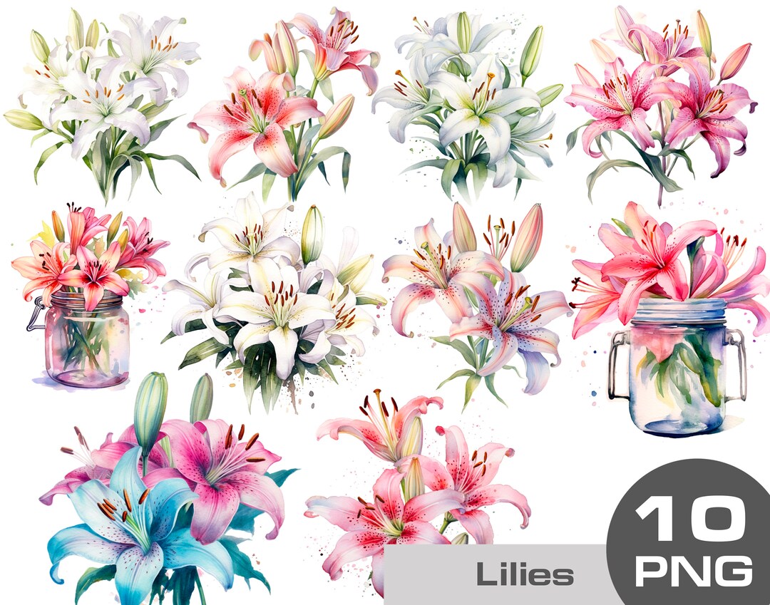 Lilies Clipart, Watercolor Pink Tiger Lily Clipart, Watercolor Flowers ...