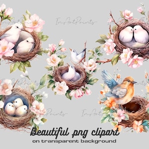 Watercolor Bird Nests Png Clipart, Cute Birds and Blossoms PNG, Birds ...