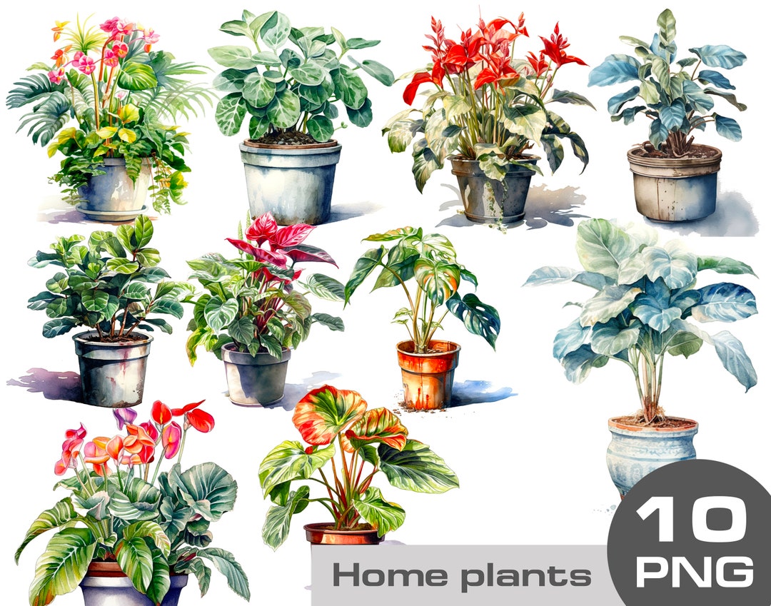 Watercolor House Plant Clipart, Plant in a Pot Clipart, Greenery Png ...