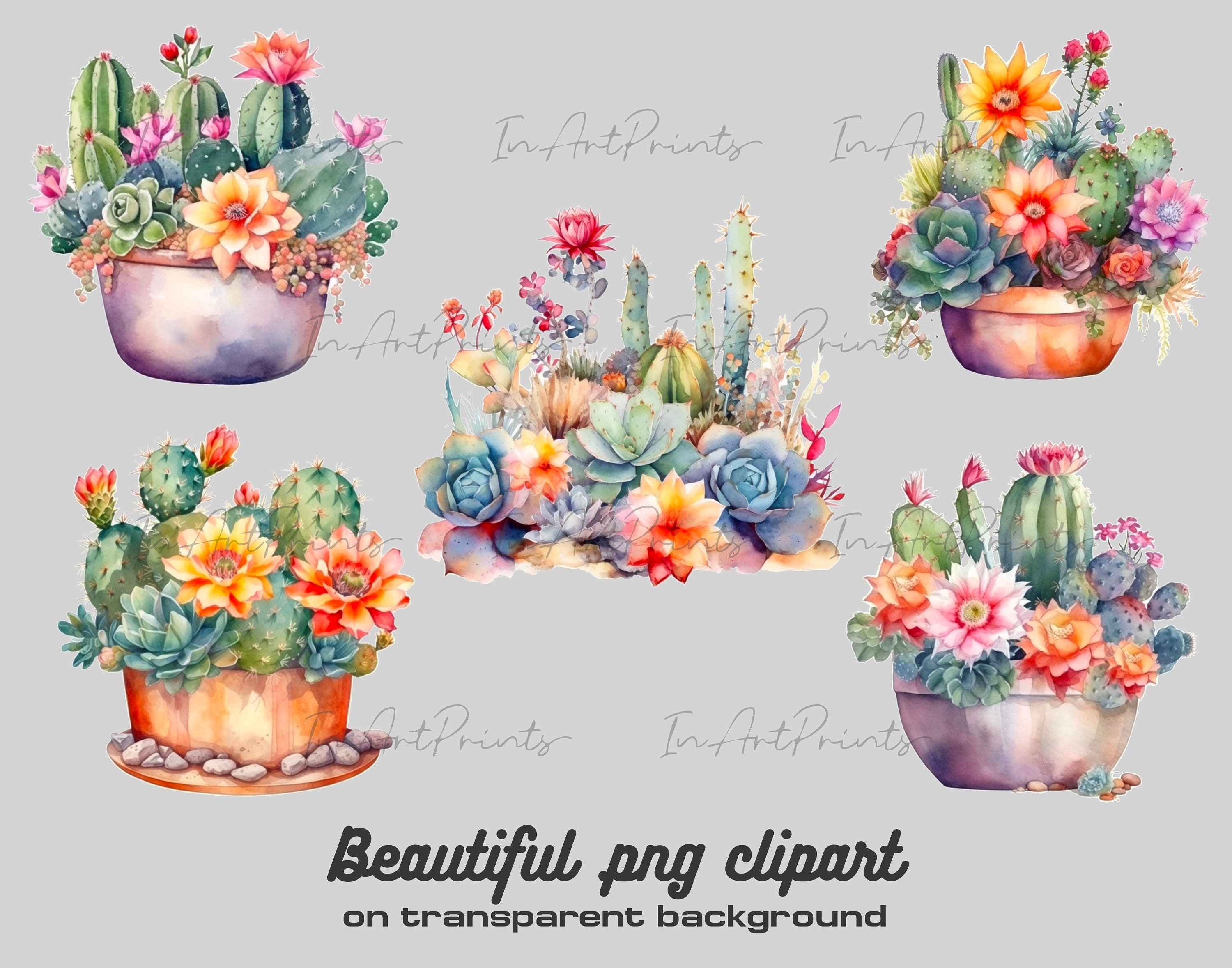 Watercolor Succulent Clipart, Cute Watercolor Cactus Clipart, Succulent ...