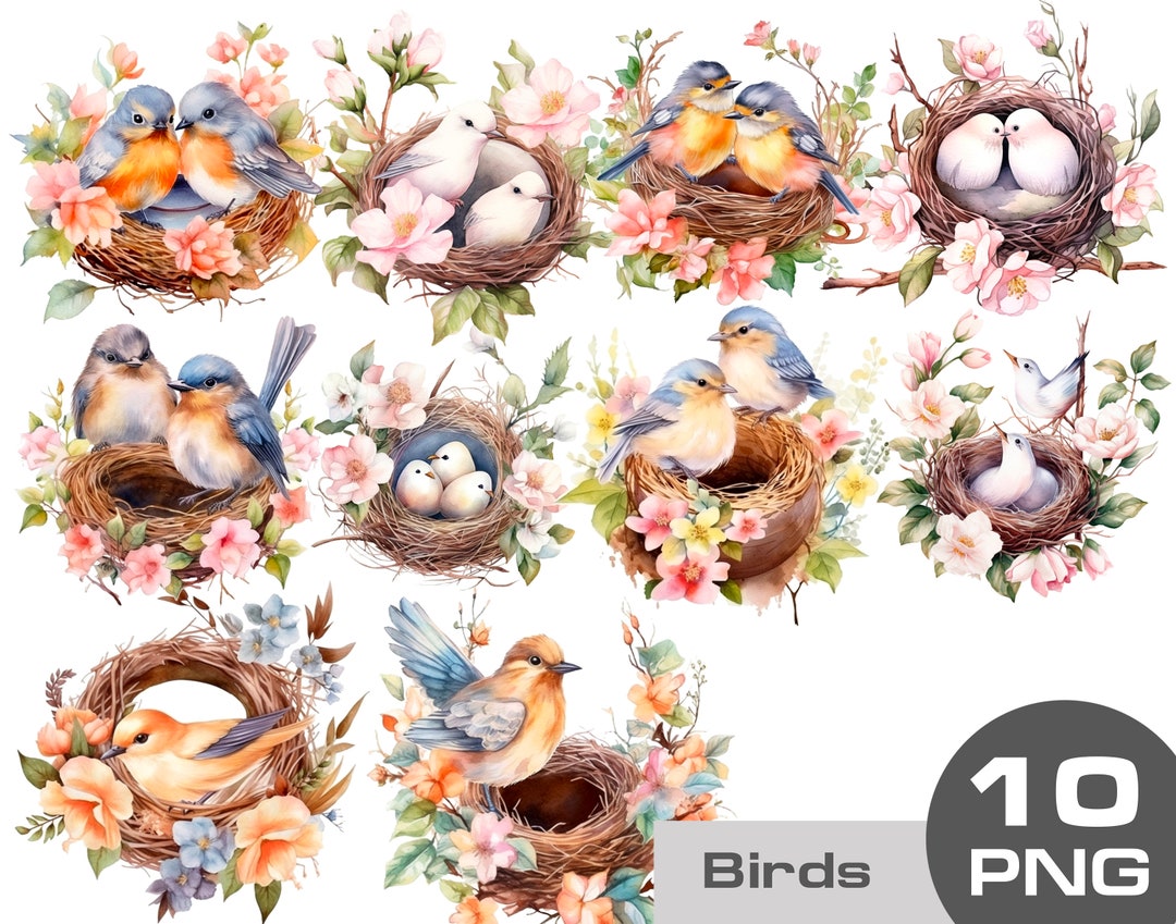 Watercolor Bird Nests Png Clipart, Cute Birds and Blossoms PNG, Birds ...