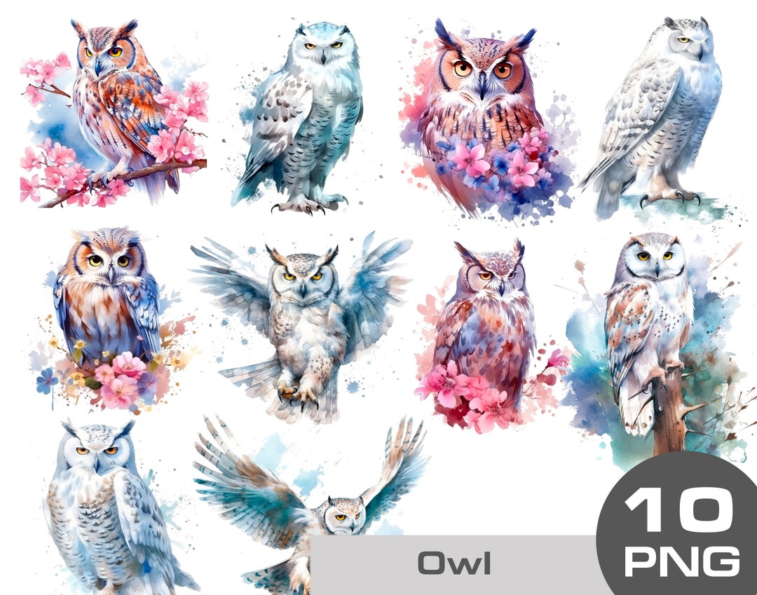 Watercolor Owl Clipart, White Owl Clipart Png, Owl on a Tree Clipart ...