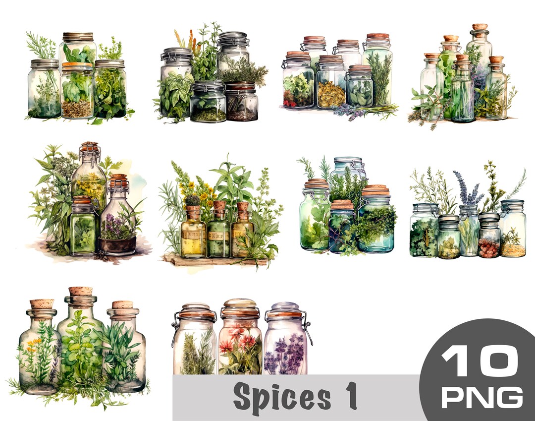 Watercolor Spice and Herbs Clipart, Herbs in a Jar Png, Mint Lavender ...